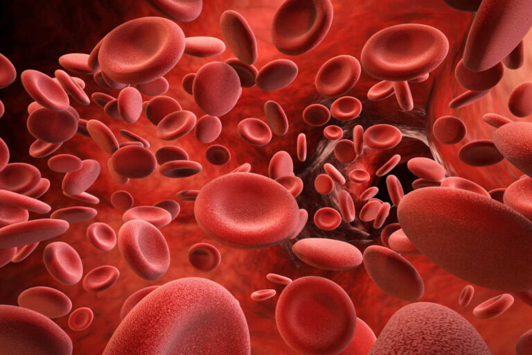 Piastrine basse? Le cause e gli esami per monitorarle – Biomedical ...